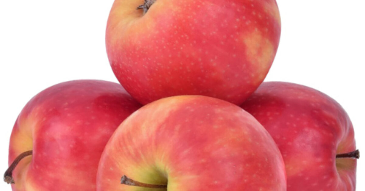 Appel Pink Lady | Online Supermarkt | Butlon