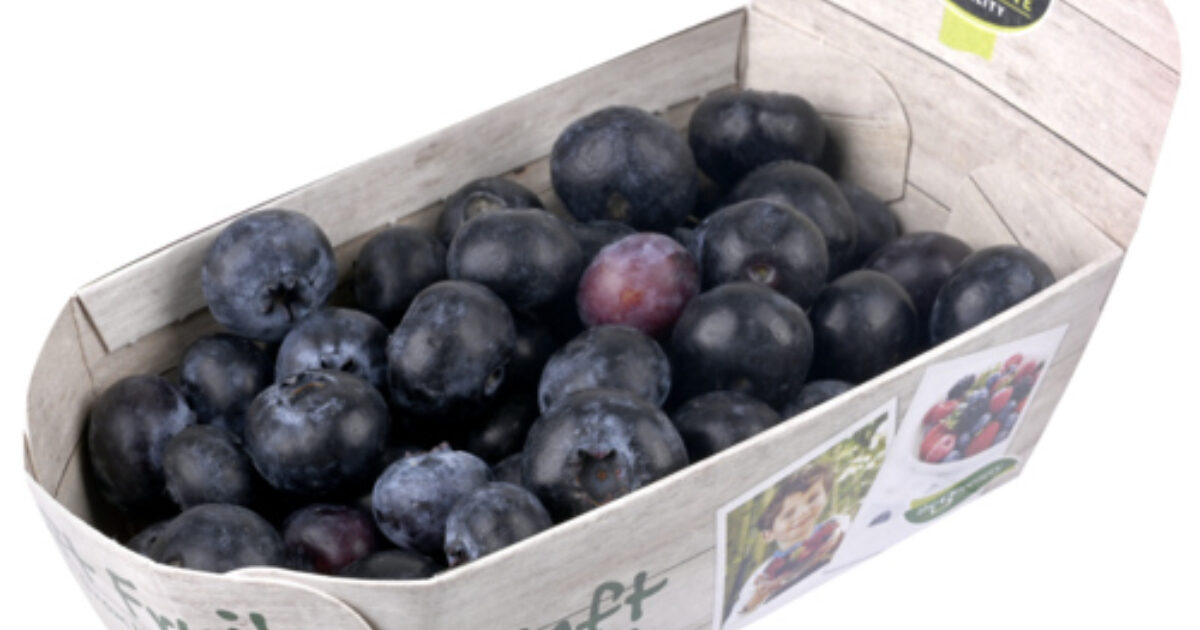 Blauwe bessen 125g | Online Supermarkt | Butlon